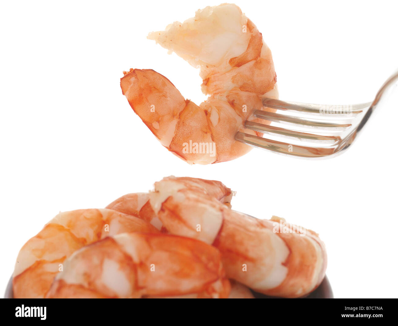 Fresh Shelled Tasty Healthy Cooked Prawn On A Fork Ready To Eat Against ...