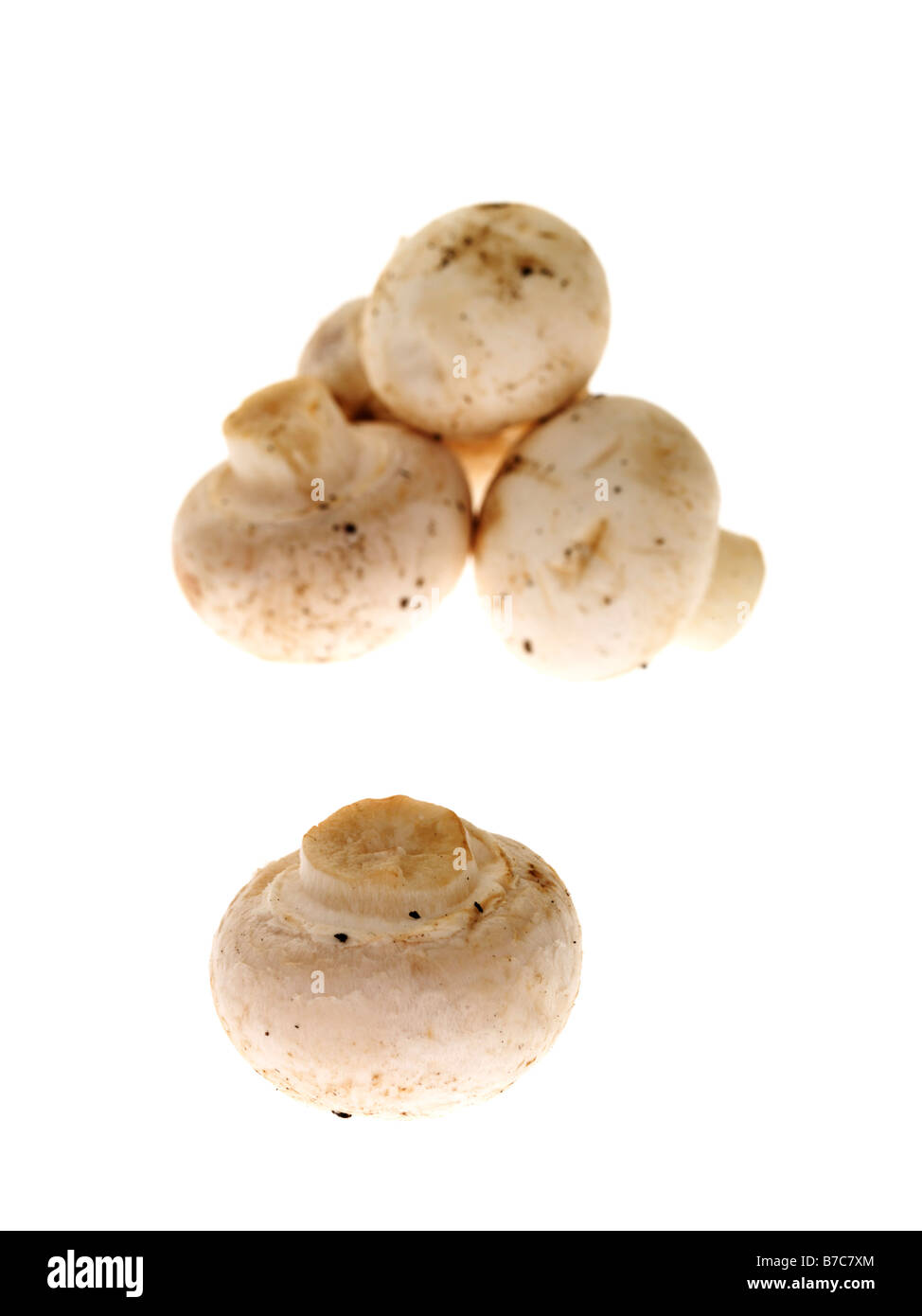 Raw Chestnut Mushrooms High Resolution Stock Photography and Images - Alamy