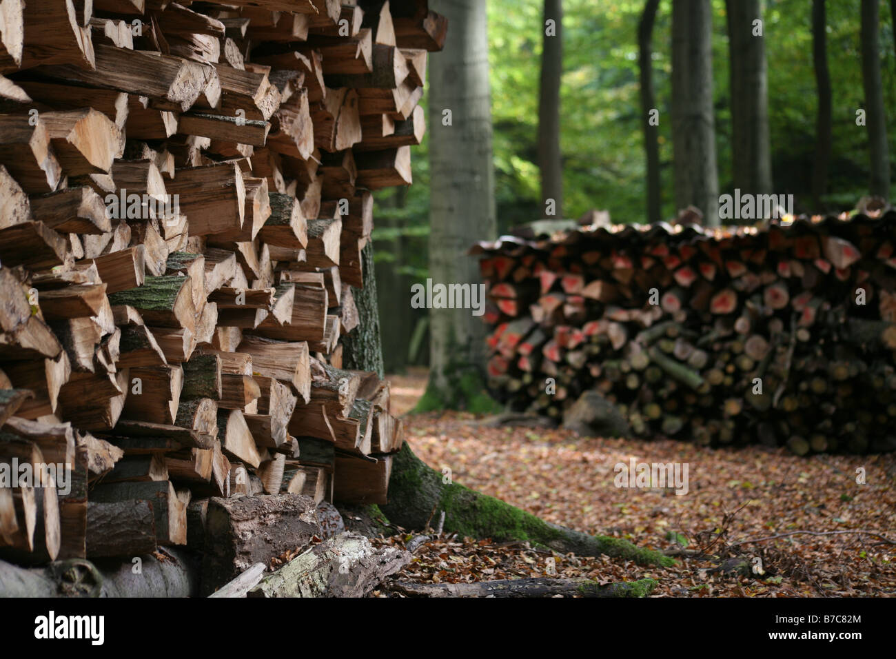 Firewood Stocks High Resolution Stock Photography and Images - Alamy