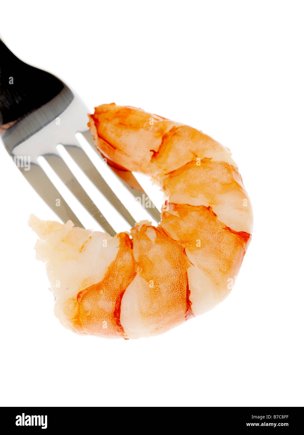 Prawn with fork Cut Out Stock Images & Pictures - Alamy