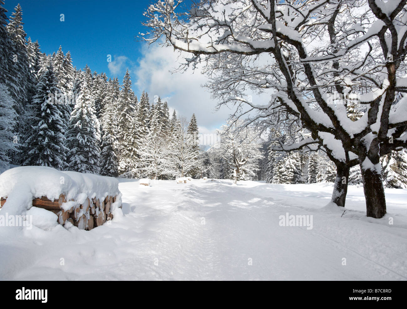 Winter snow scenery in Koscieliska Valley, Tatra Mountains, Poland ...