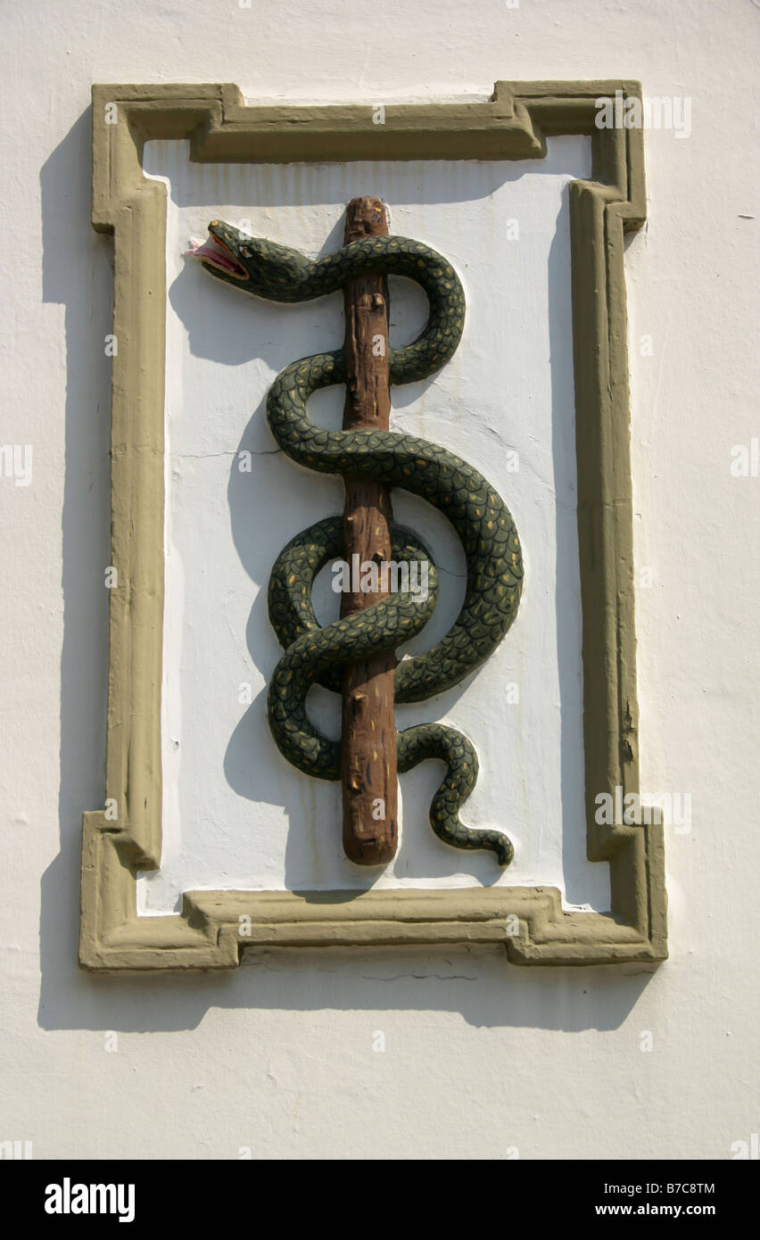 Snake stick hi-res stock photography and images - Alamy