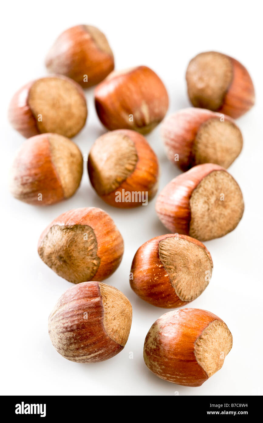 Hazelnut skin hi-res stock photography and images - Alamy