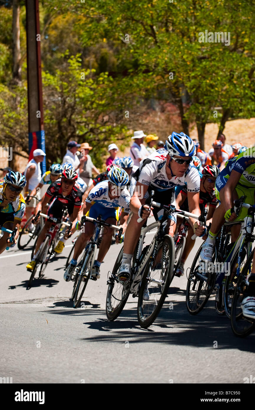 Cyclists competing in the Tour Down Under 2009 Classic Bike Race in the ...
