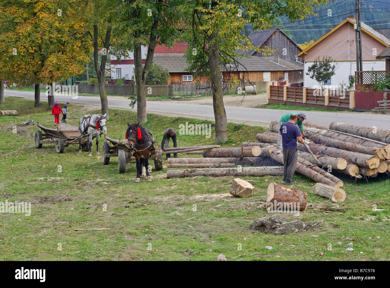 Logging horses hi-res stock photography and images - Alamy