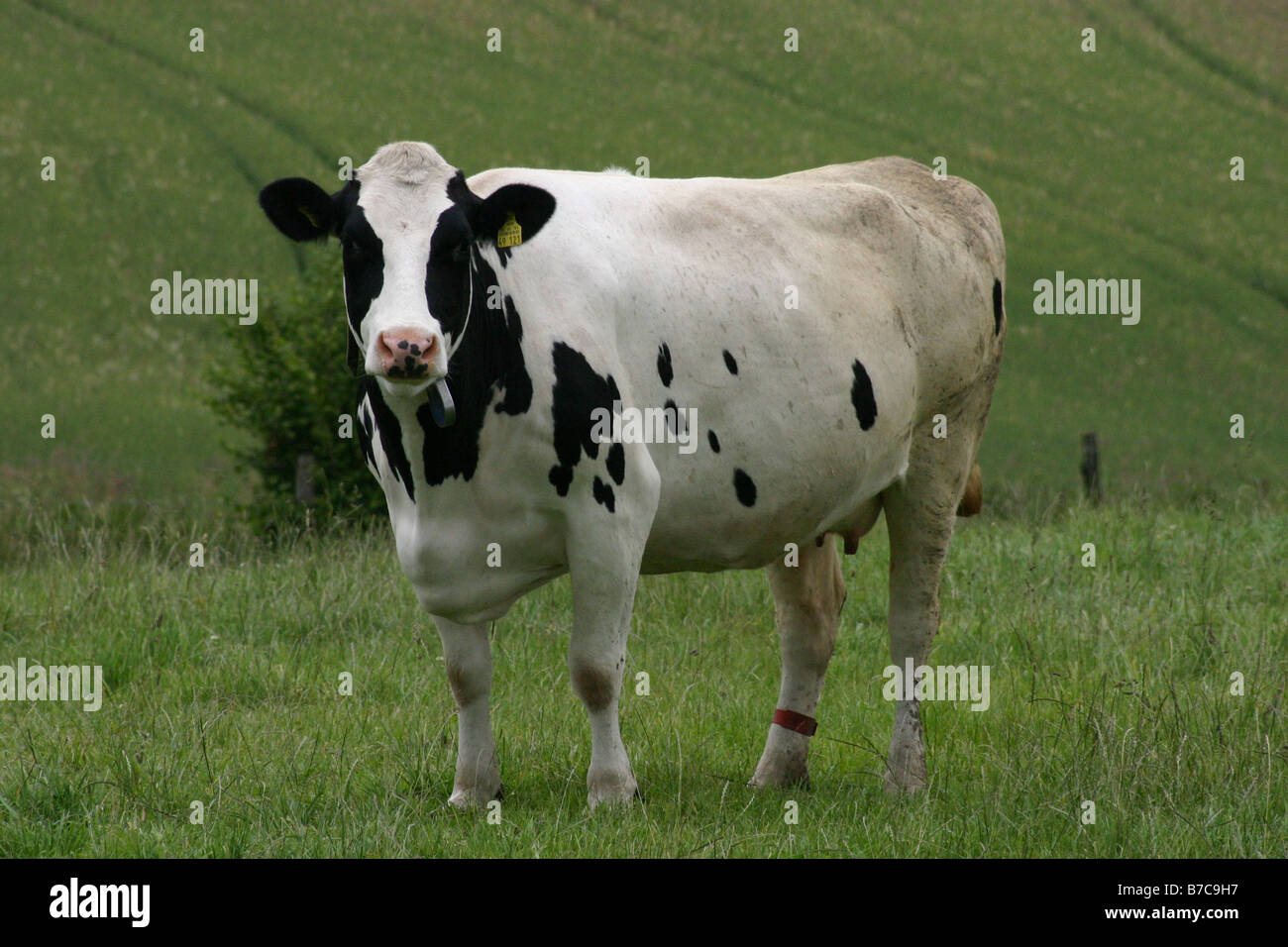 Stock farmings hi-res stock photography and images - Alamy
