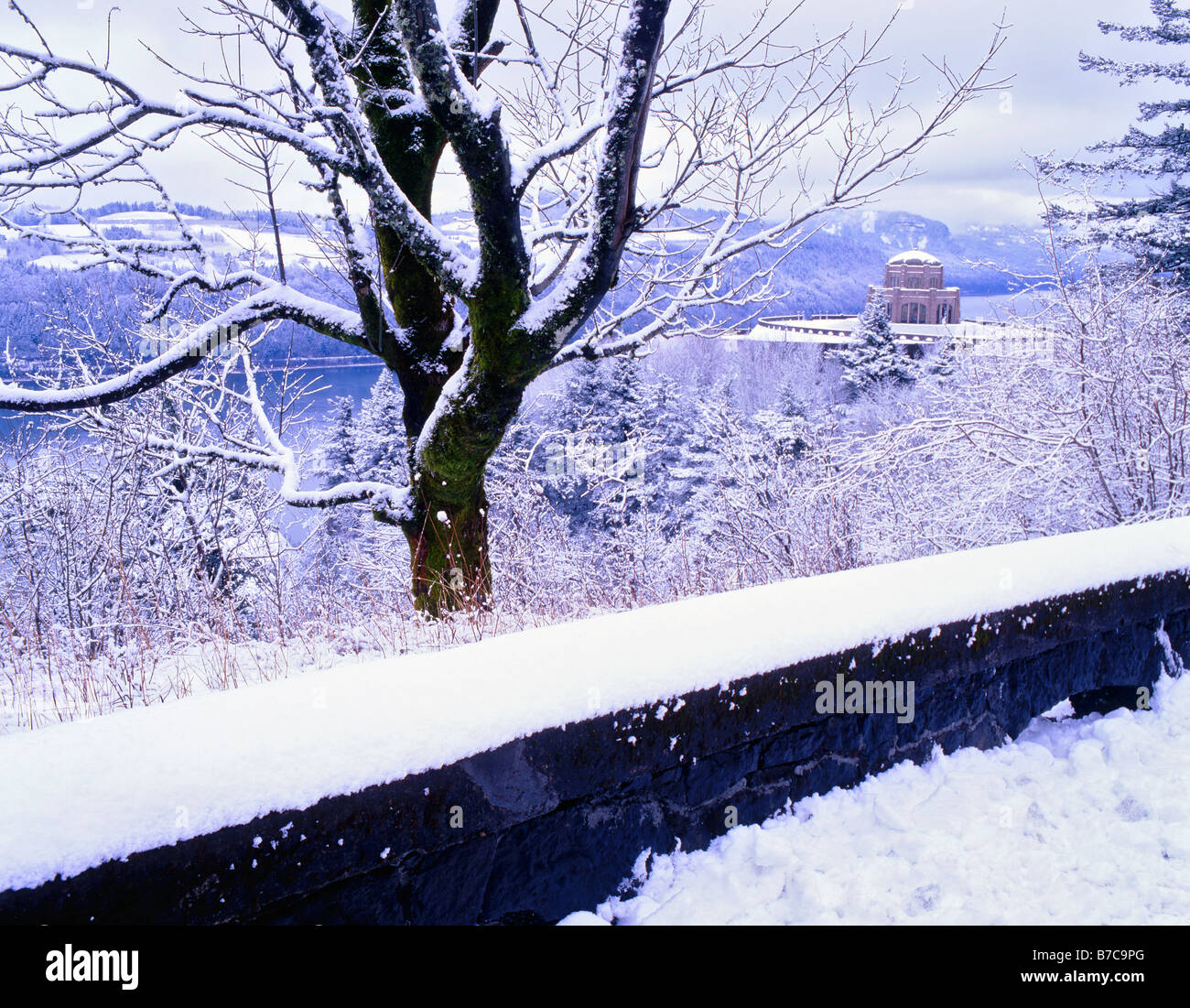 Snowfall crown hi-res stock photography and images - Alamy