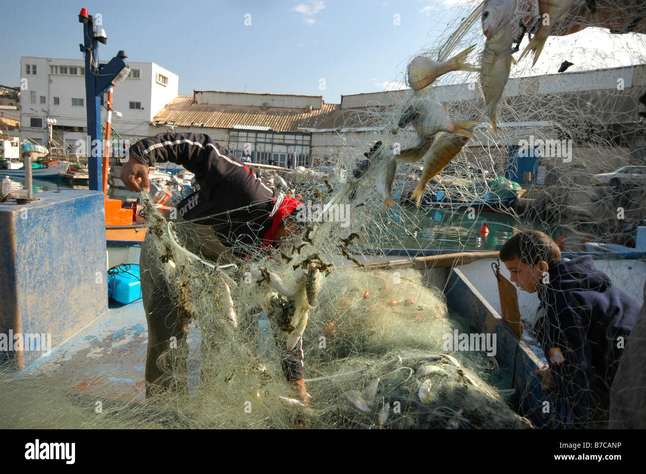 Israel Jaffa The old port Fisherman with the catch of the day Stock ...