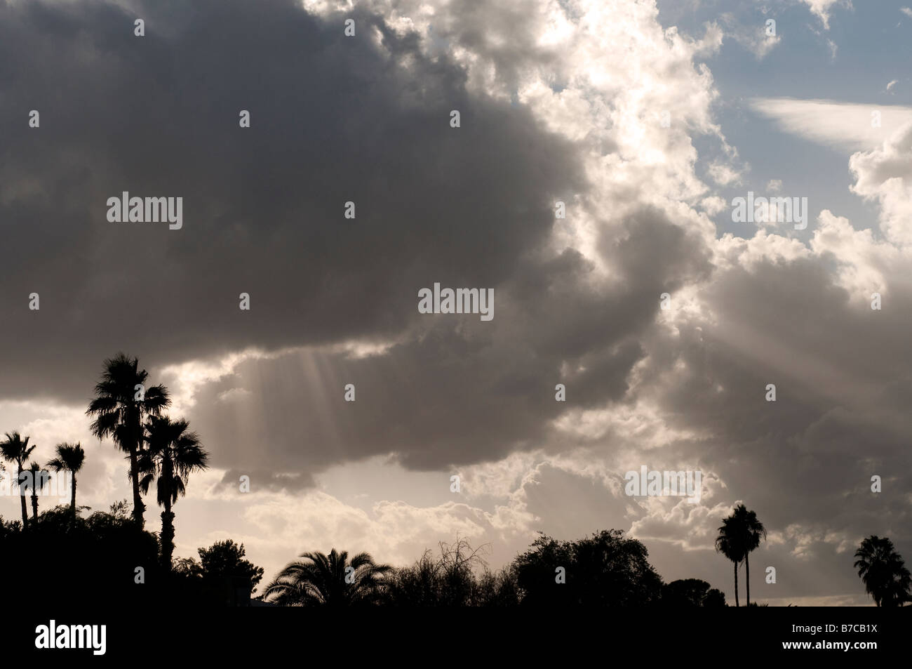 Sun rays through storm clouds with palm trees Stock Photo - Alamy