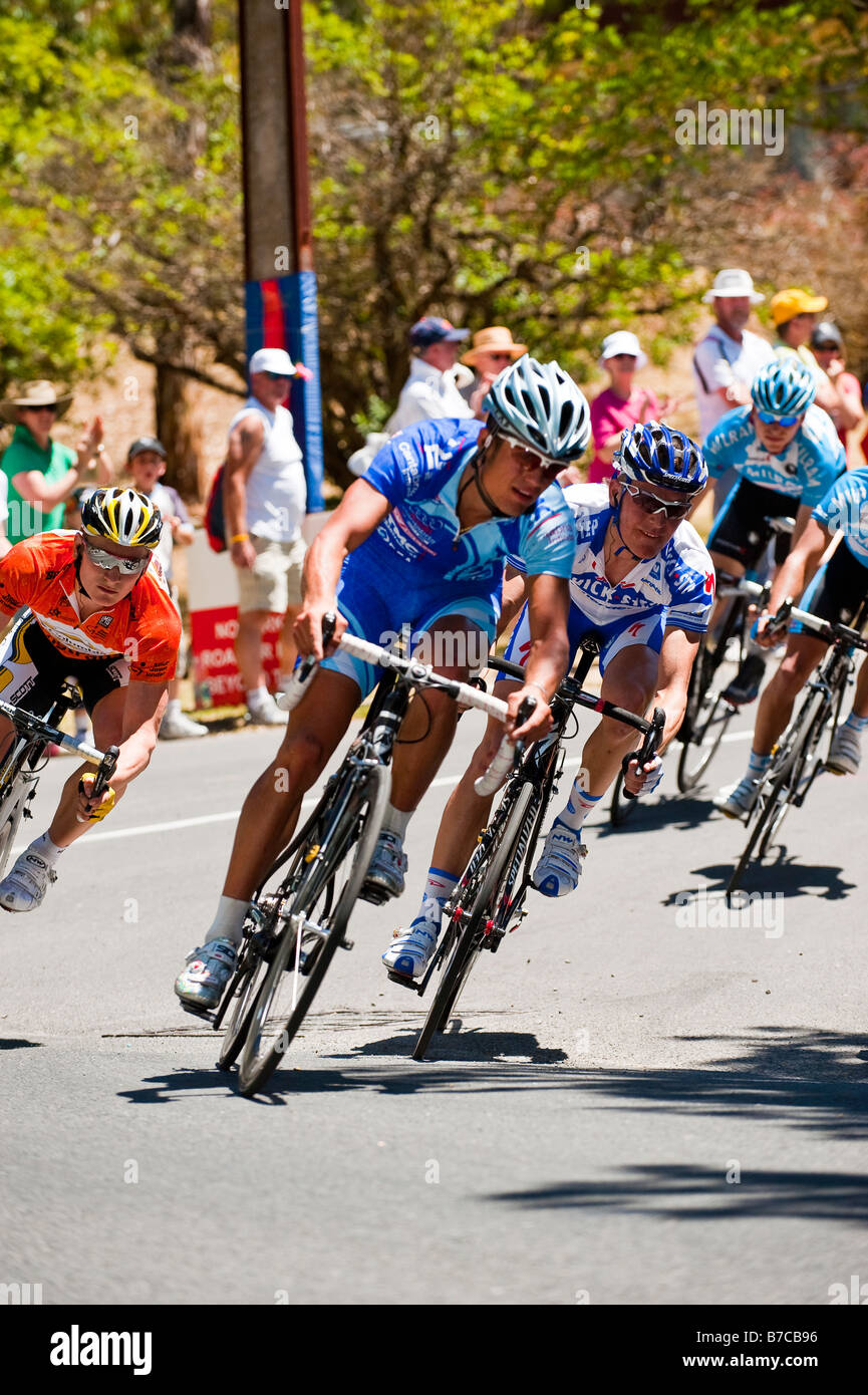 Cyclists competing in the Tour Down Under 2009 Classic Bike Race in the ...