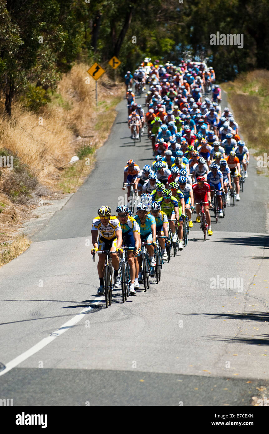 Cyclists competing in the Tour Down Under 2009 Classic Bike Race in the ...