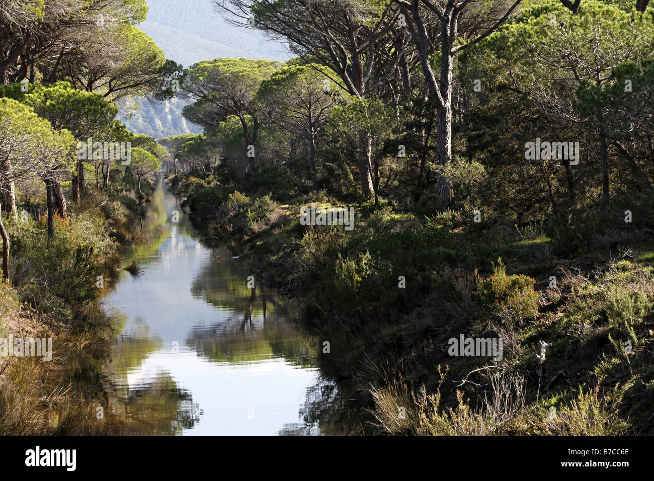 Trees and Water Stream Maremma Landscape Tuscany Italy Stock Photo - Alamy