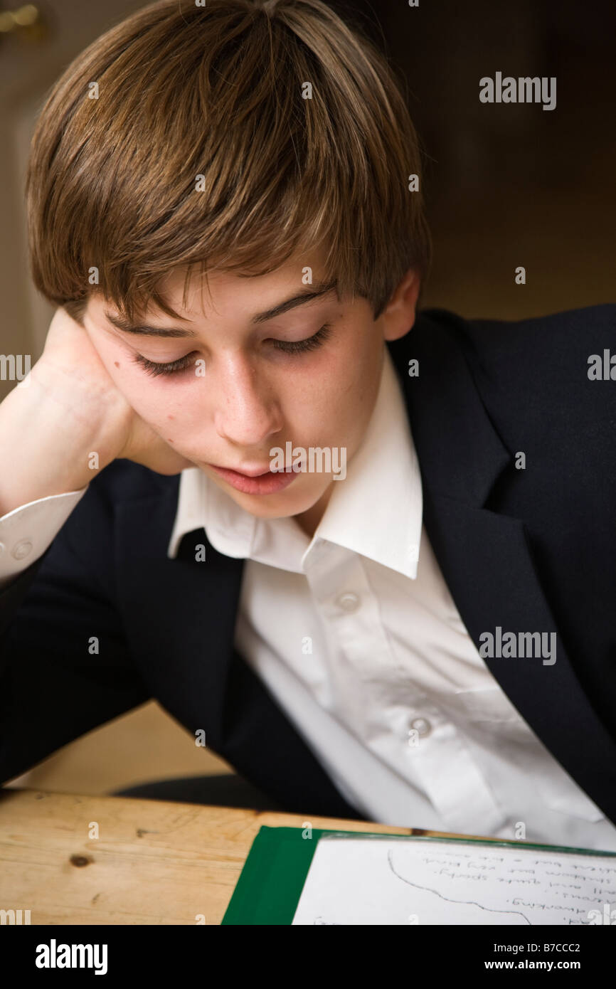 Schoolboy at table doing homework Stock Photo - Alamy
