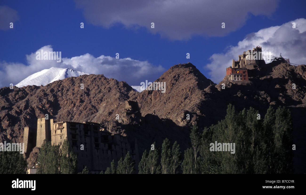 Leh Palace & Namgyal Tsemo gompa poplar trees snowy peak Ladakh Jammu ...