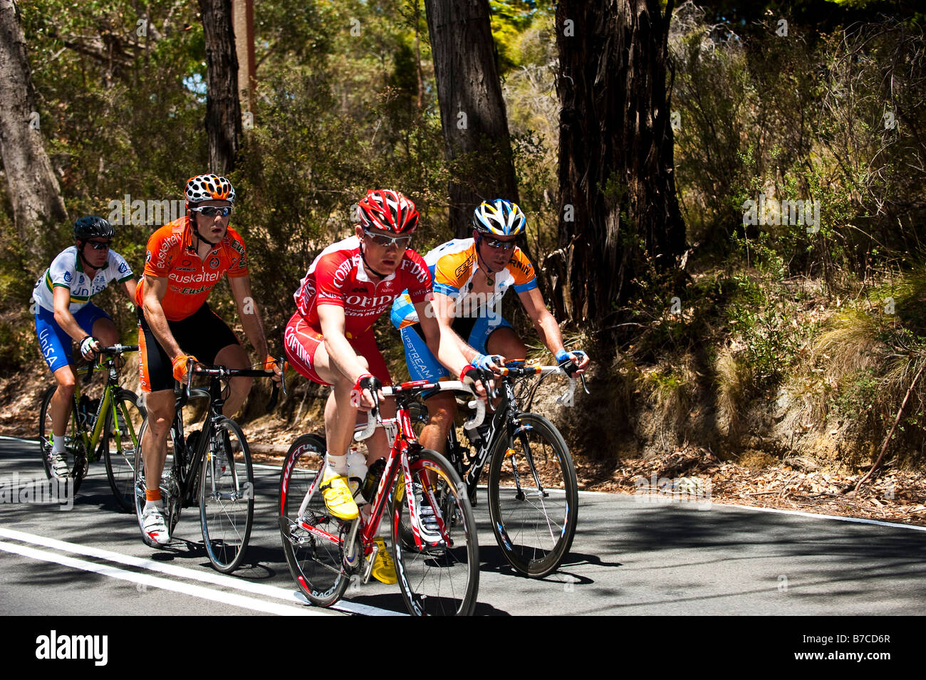 Cyclists competing in the Tour Down Under 2009 Classic Bike Race in the ...