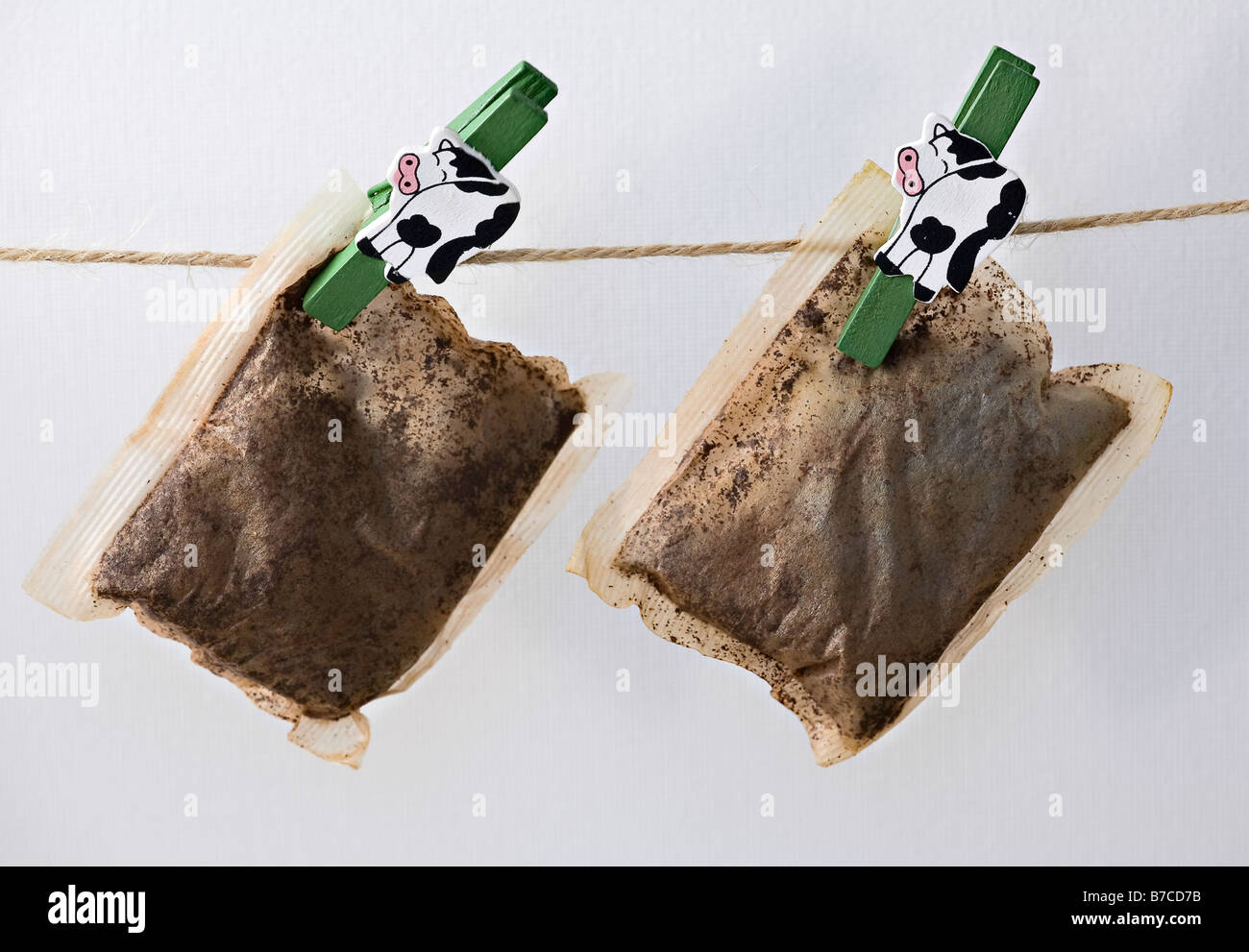 Two used teabags on washing line Stock Photo - Alamy