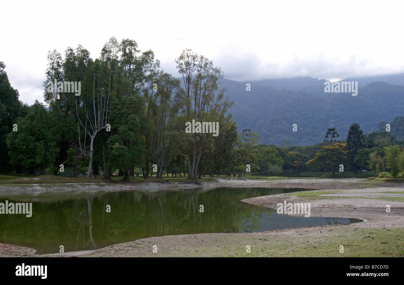 Lake Gardens, Taiping, Perak, Malaysia Stock Photo - Alamy
