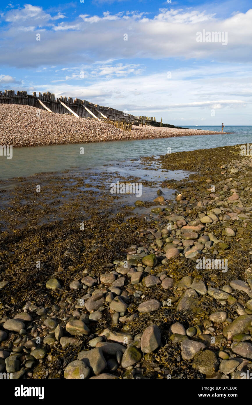 Porlock weir beach hi-res stock photography and images - Alamy
