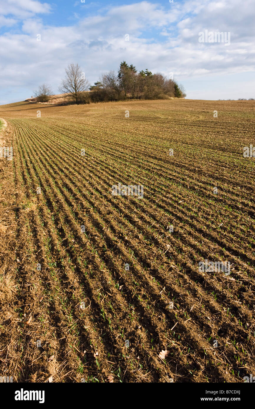 Pencin hi-res stock photography and images - Alamy