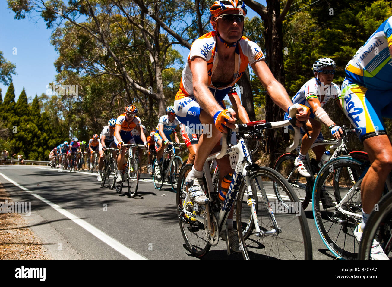 Cyclists competing in the Tour Down Under 2009 Classic Bike Race in the ...