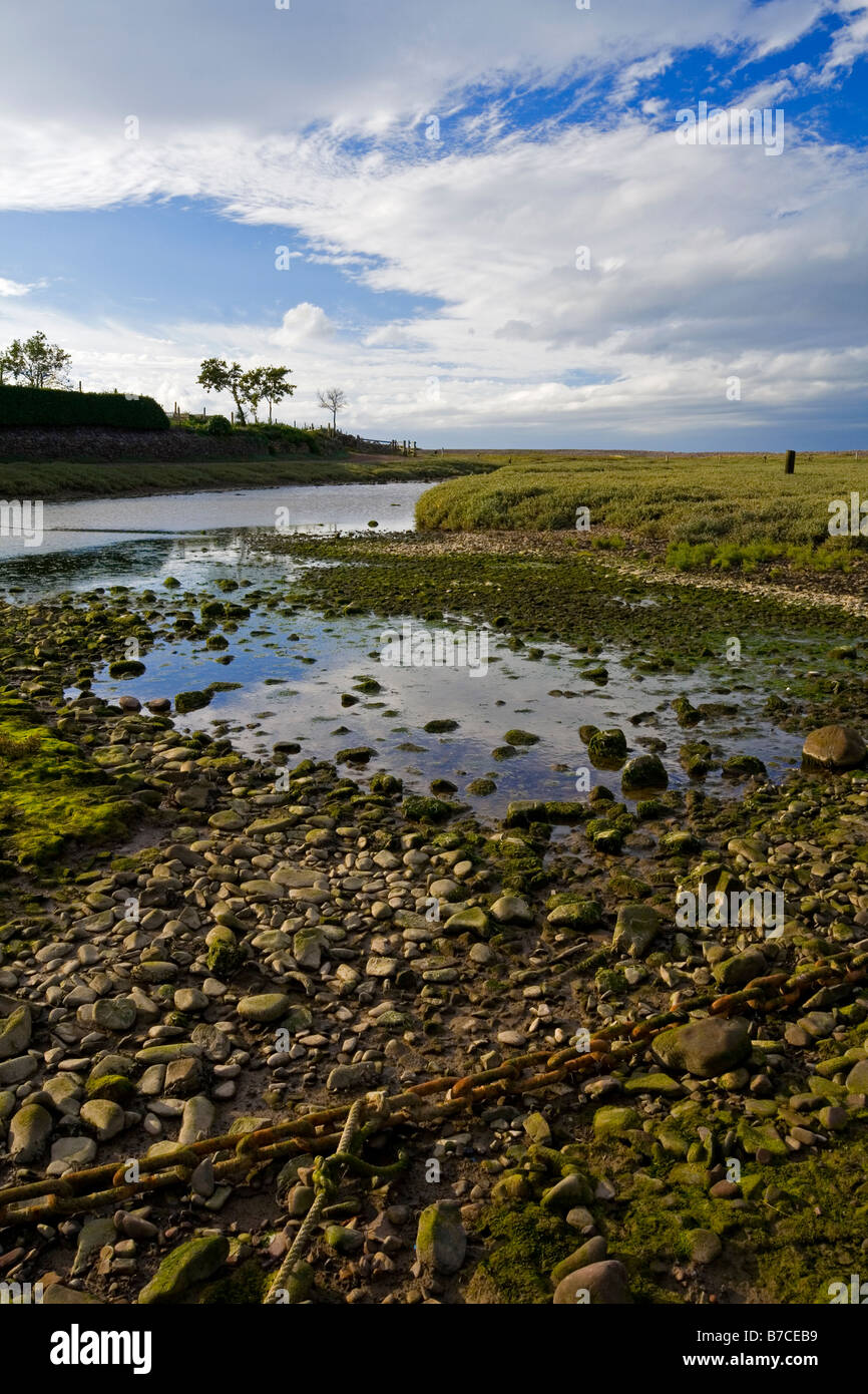 Porlock marsh hi-res stock photography and images - Alamy