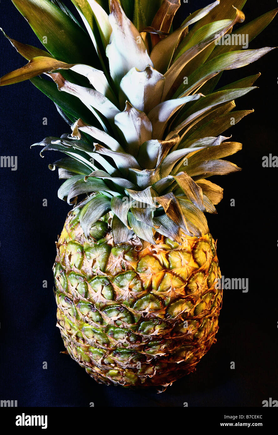 Pineapple black background Stock Photo - Alamy