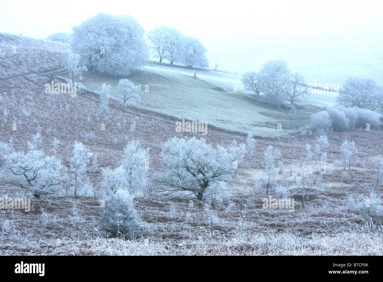 Rudry hi-res stock photography and images - Alamy