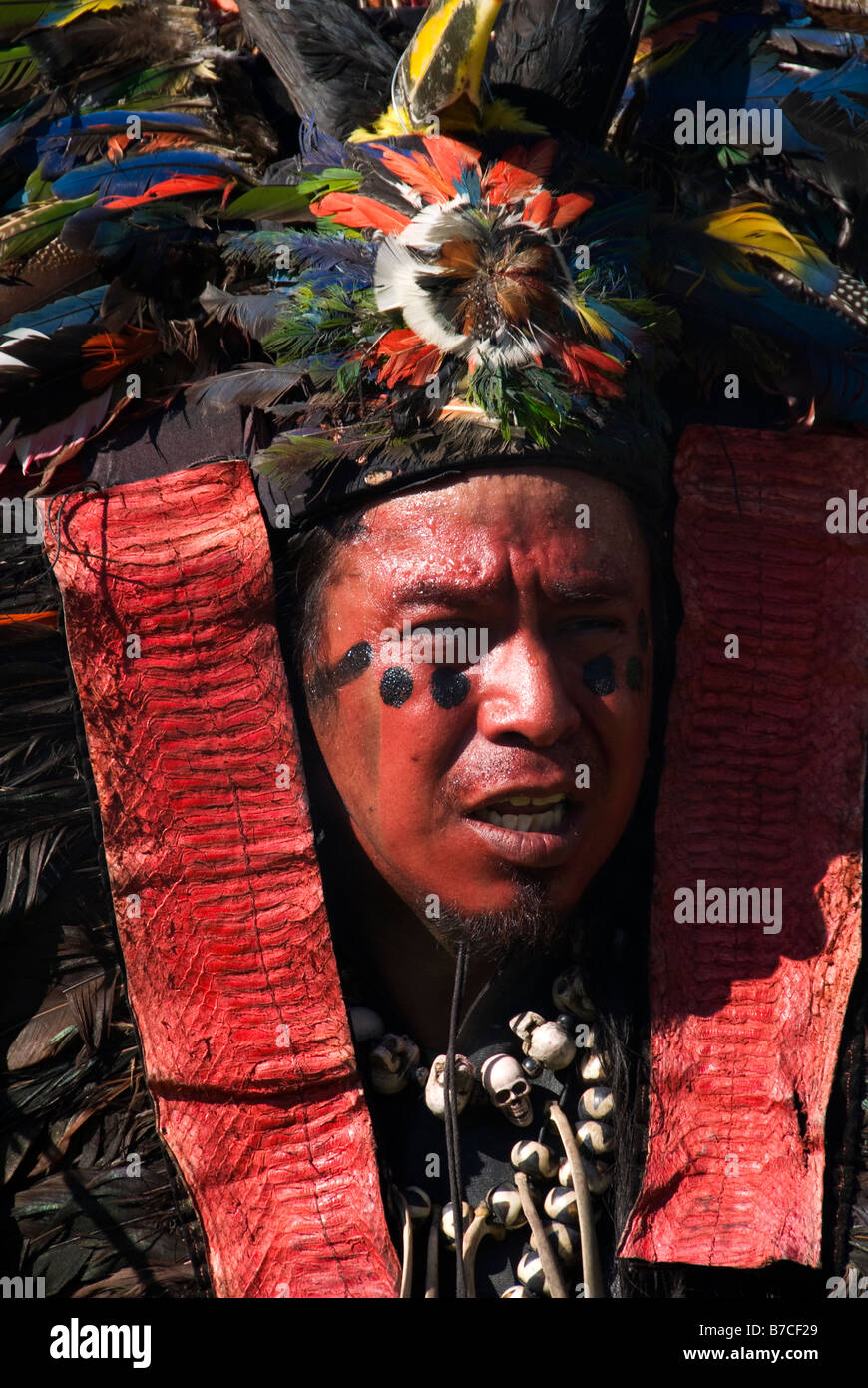 a portrait of a Mexican shaman Stock Photo - Alamy