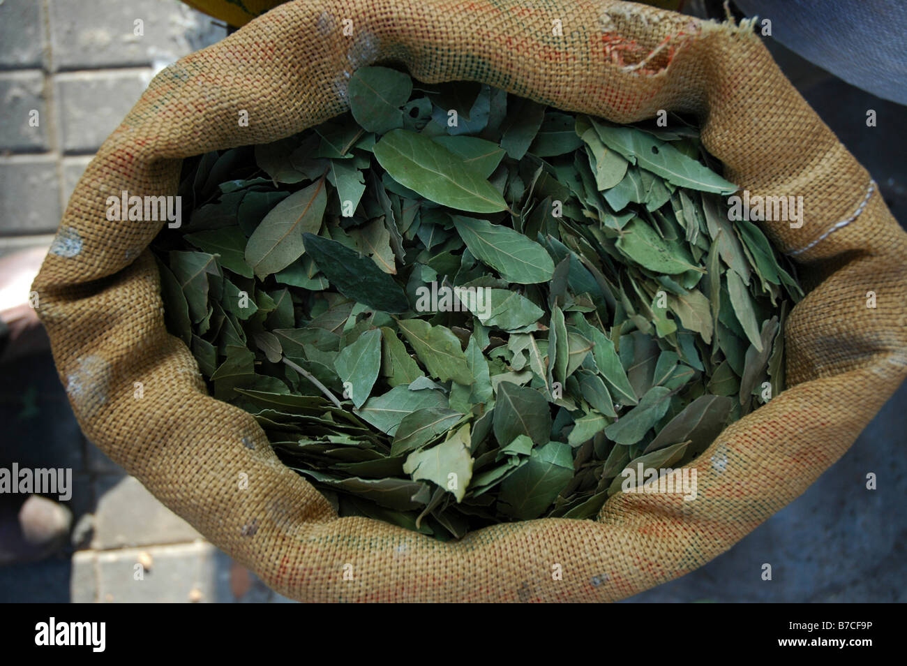 Israel Jaffa bags of Herbs and spices in a street market Stock Photo ...