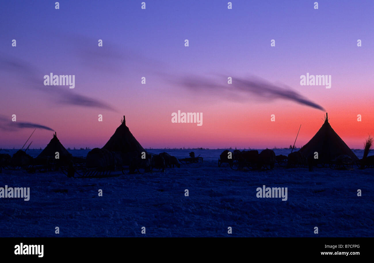 Nenets winter camp at Yamal Peninsula Stock Photo - Alamy