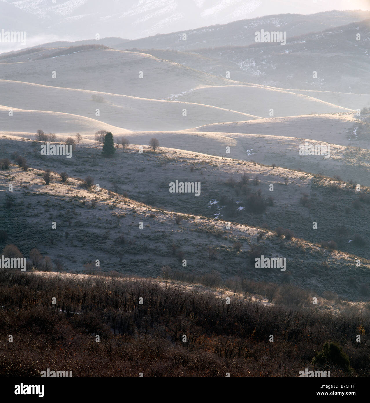 Wasatch cache national forest hi-res stock photography and images - Alamy