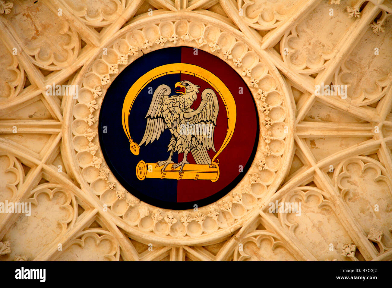 Falcon crest hi-res stock photography and images - Alamy