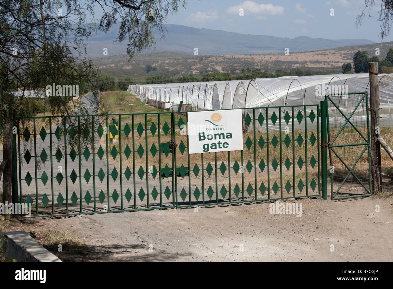 Entrance to flower farm Lake Naivasha Rift Valley Kenya Stock Photo - Alamy