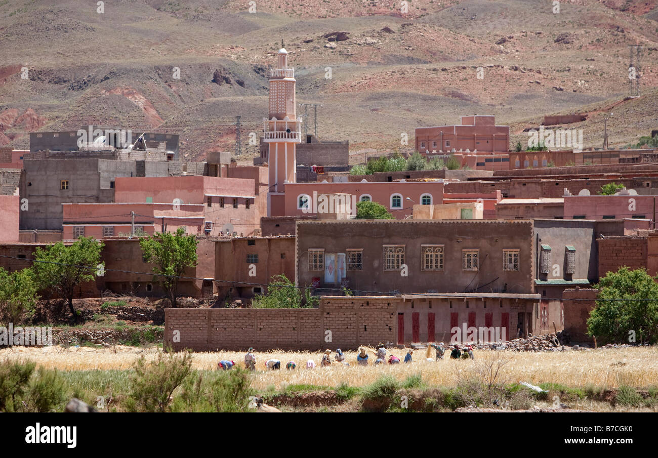 Women farming morocco hi-res stock photography and images - Alamy