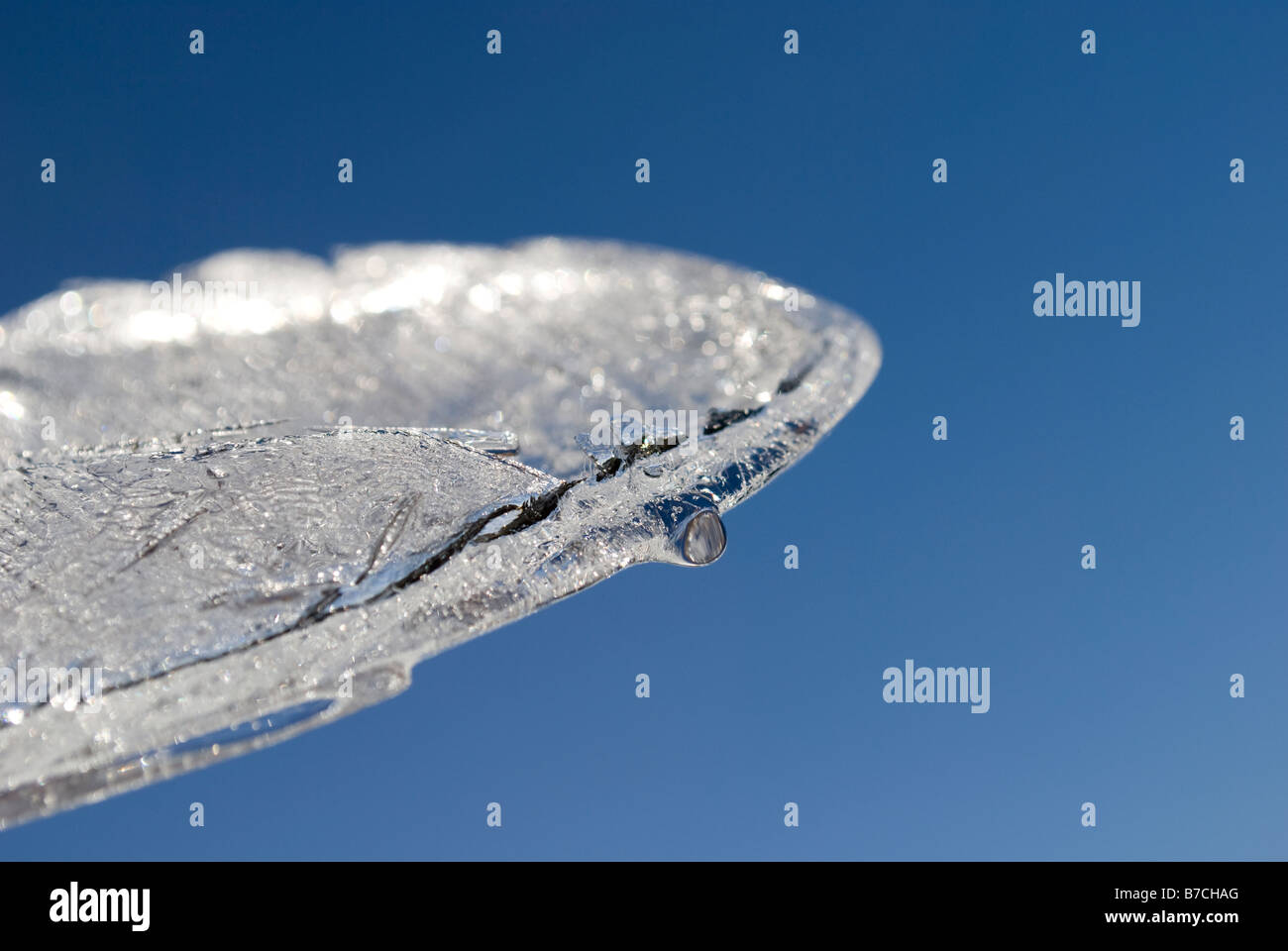 Reflect reflecting refraction transparent see through see through hi ...