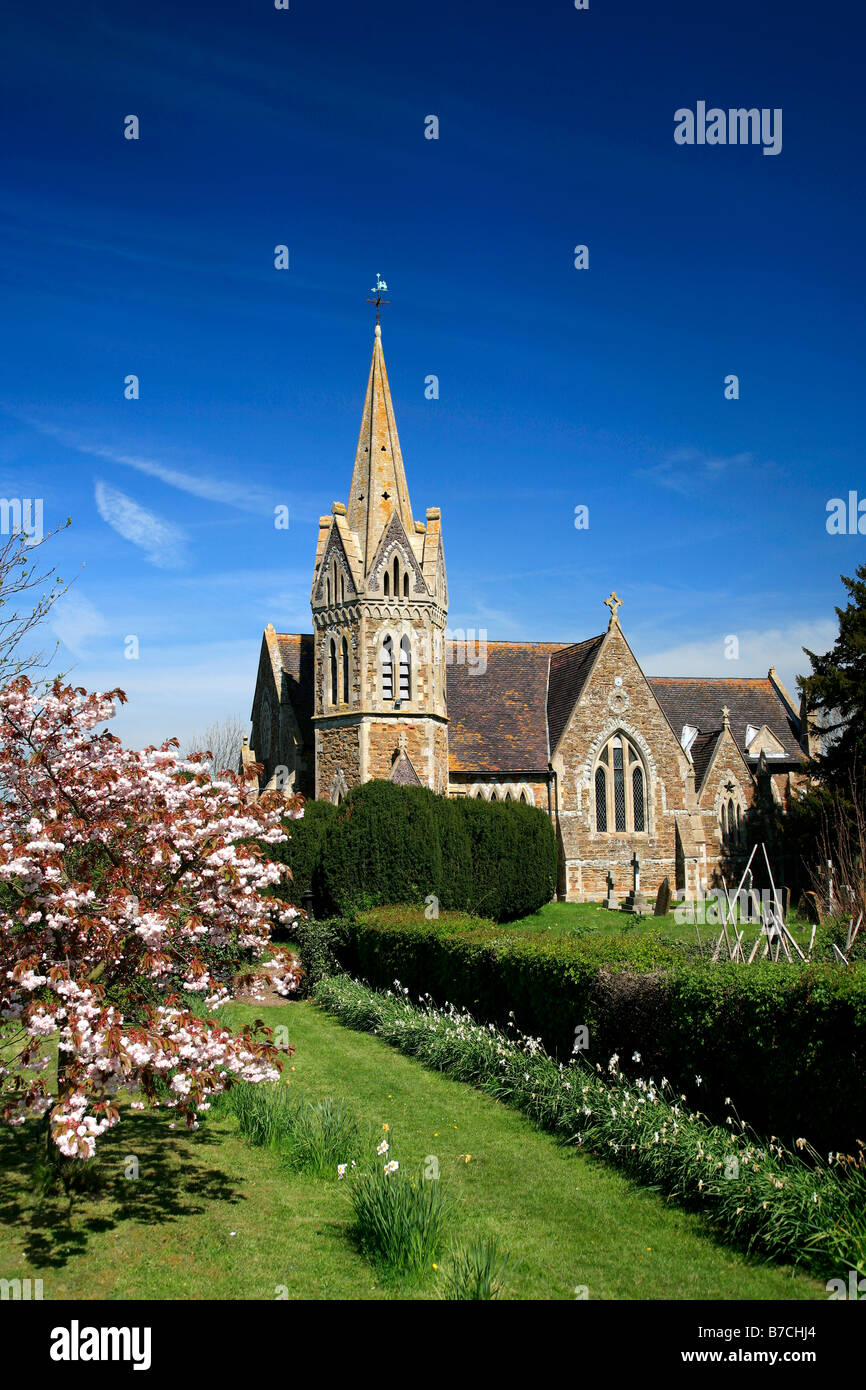 Spring Cherry Blossom St Johns Church Lower Shuckburgh Village ...
