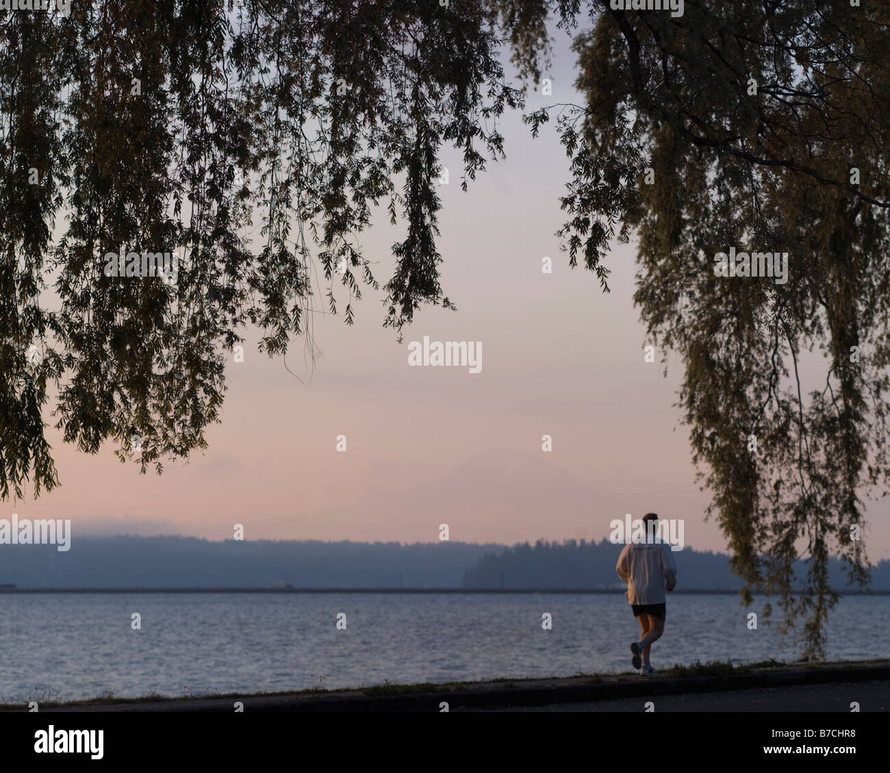 A runner along the waterway of Lake Washington Stock Photo - Alamy