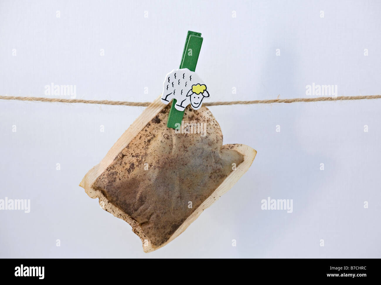 Used teabag on washing line Stock Photo - Alamy