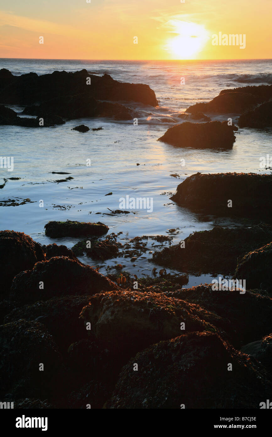 Point lobos at sunset hi-res stock photography and images - Alamy