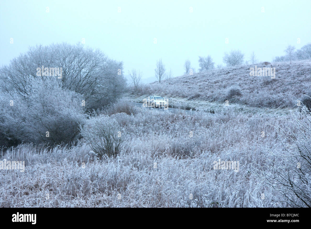 Rudry hi-res stock photography and images - Alamy