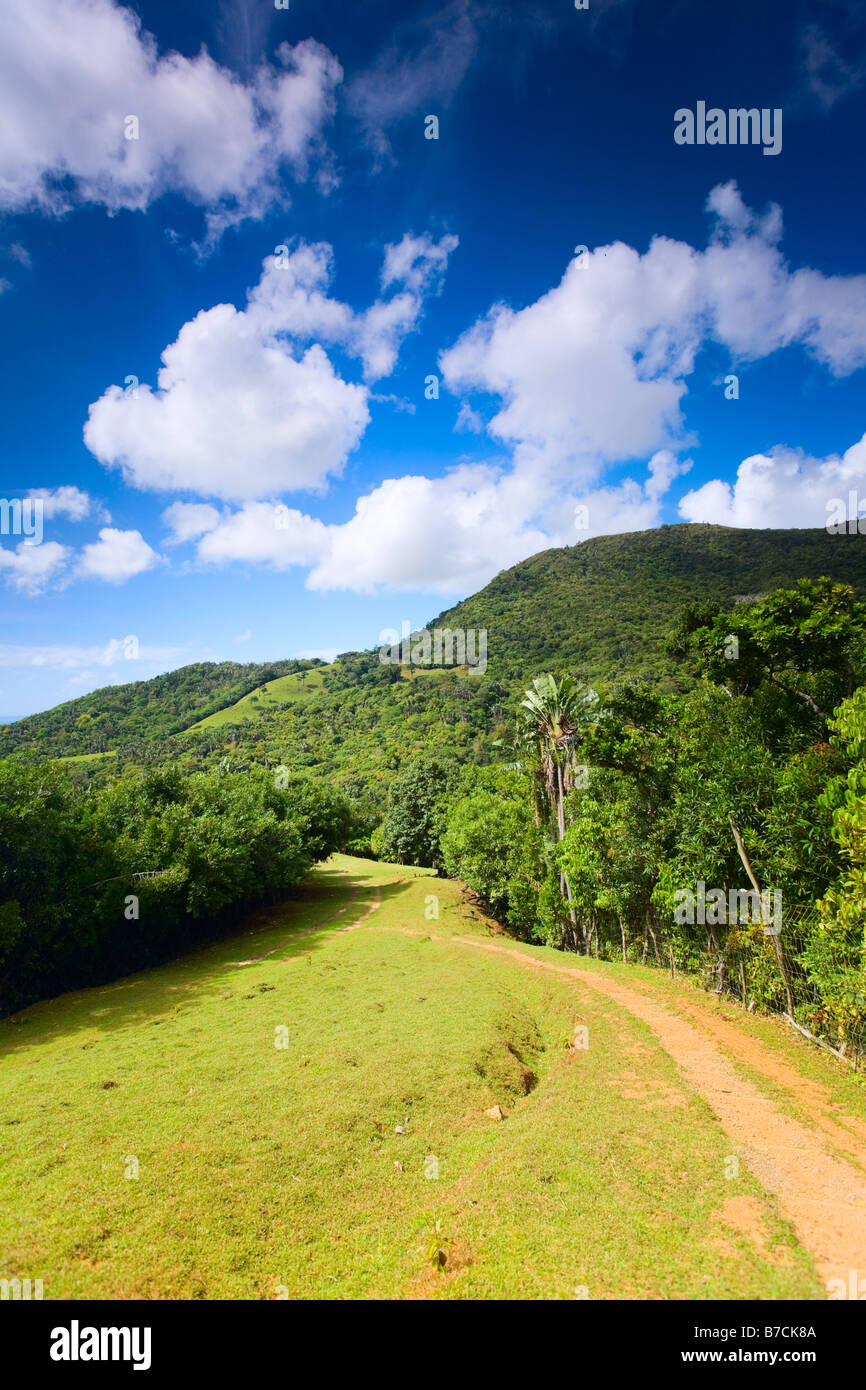Eco-tourism. Beautiful hills landscape with hiking path Stock Photo - Alamy