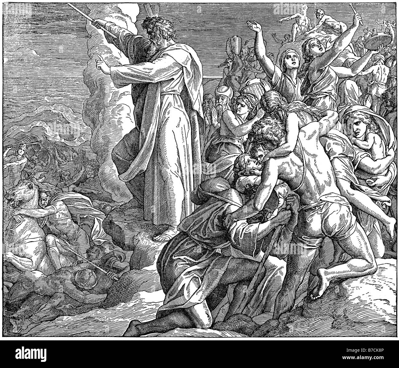 The passage trough the read see Stock Photo - Alamy