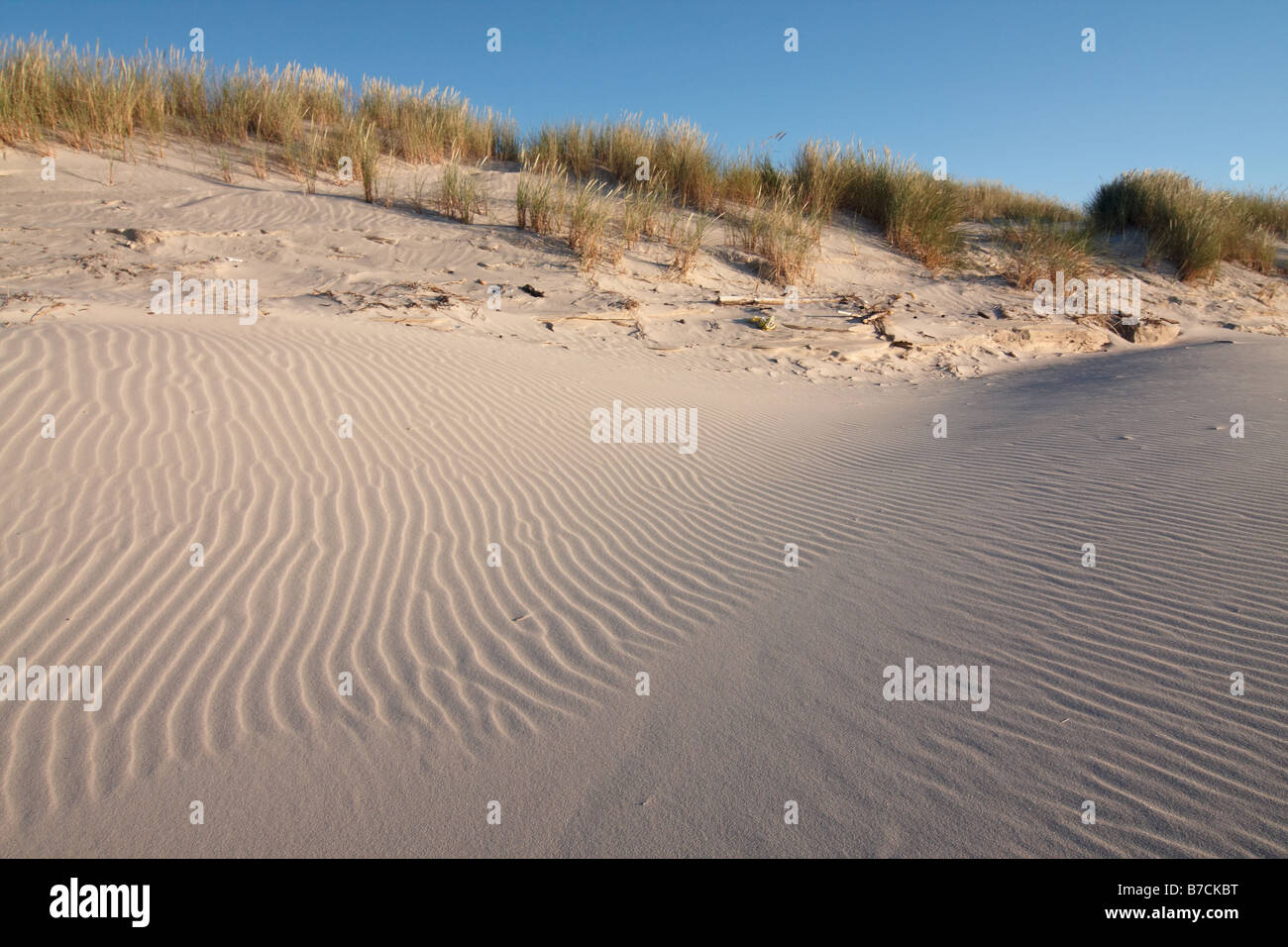 Duneland beach hi-res stock photography and images - Alamy