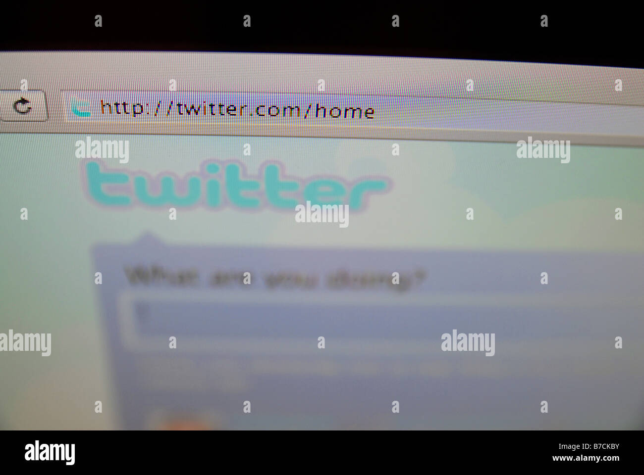Twitter network hi-res stock photography and images - Alamy