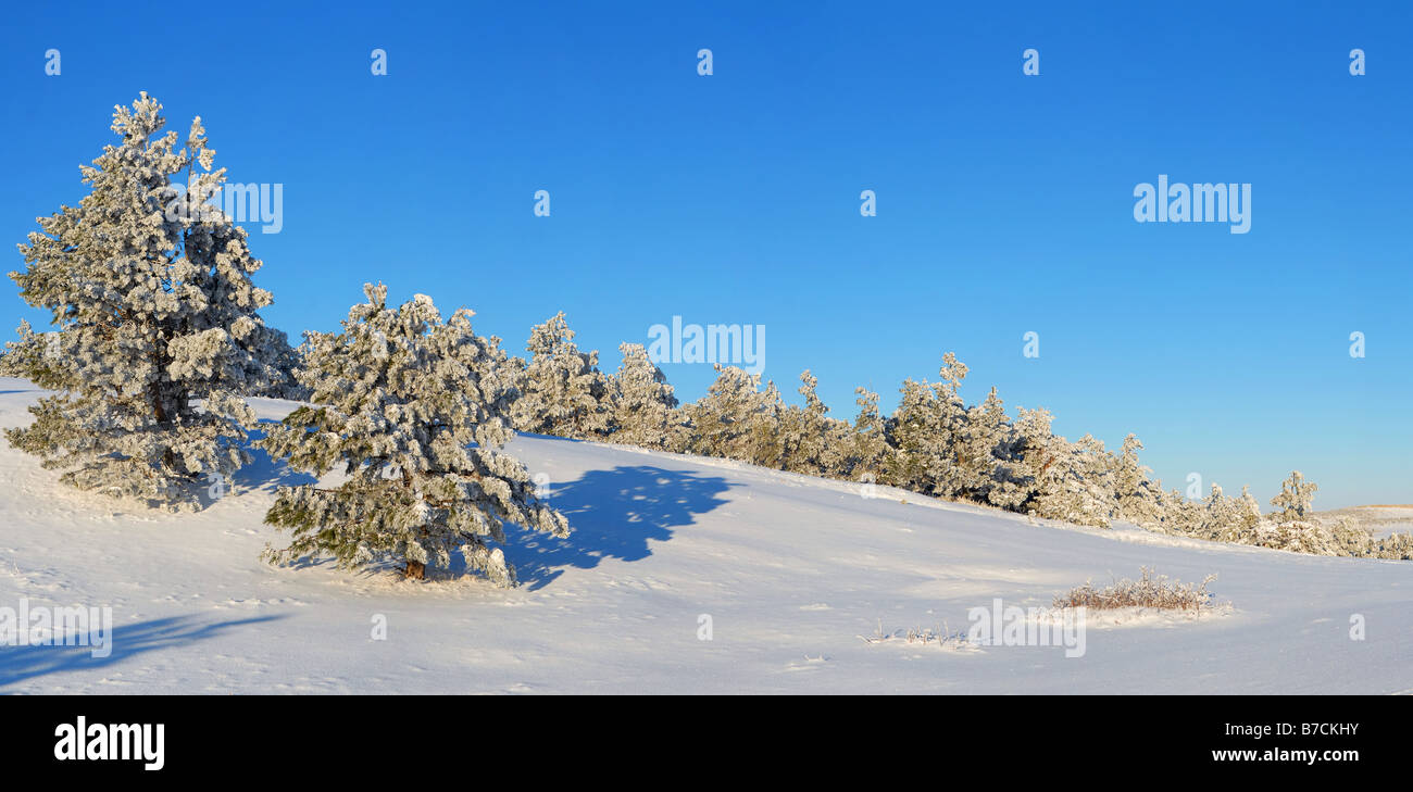 Fur snow hi-res stock photography and images - Alamy