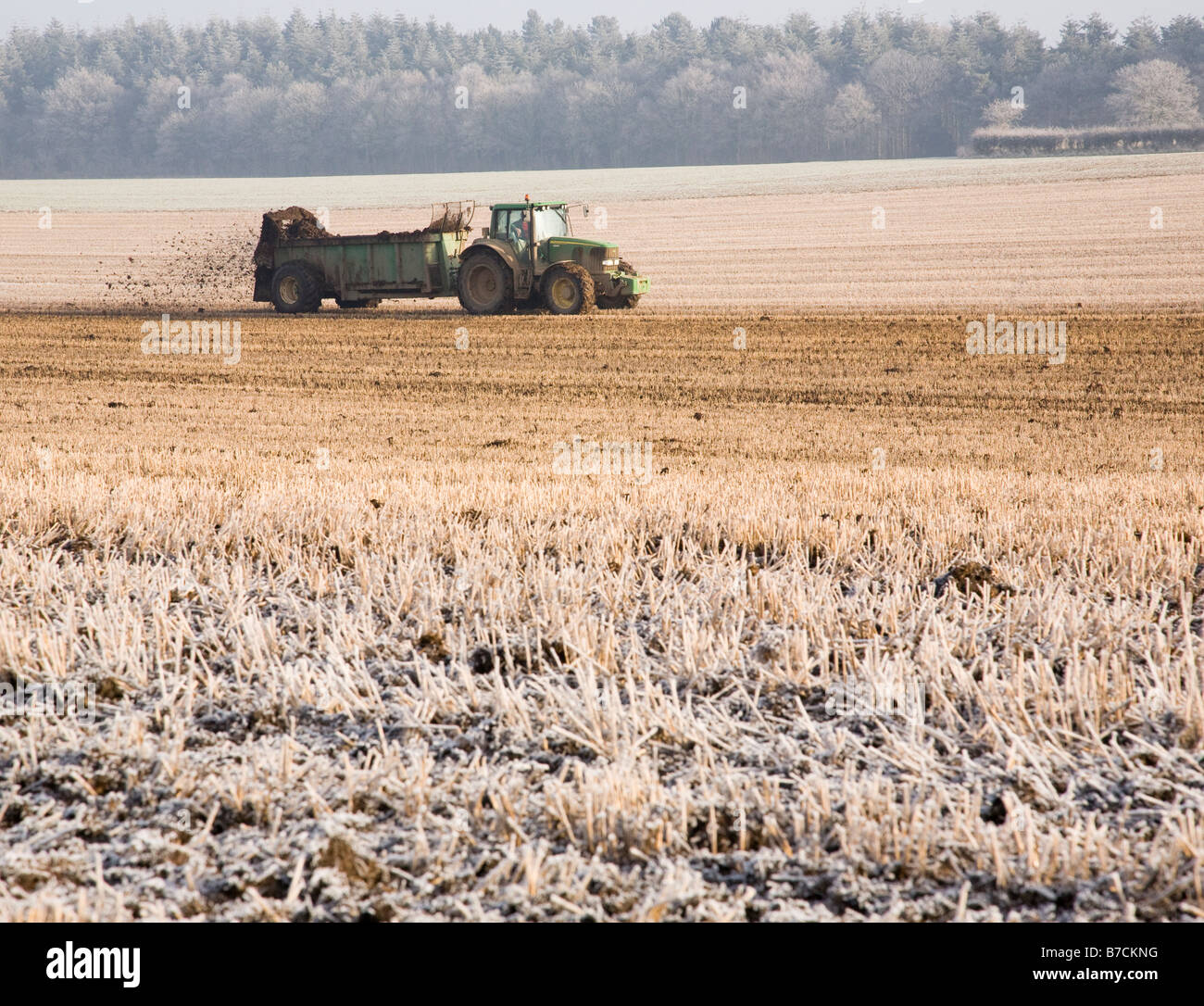 A tractor muck spreading in a frost covered field Stock Photo - Alamy