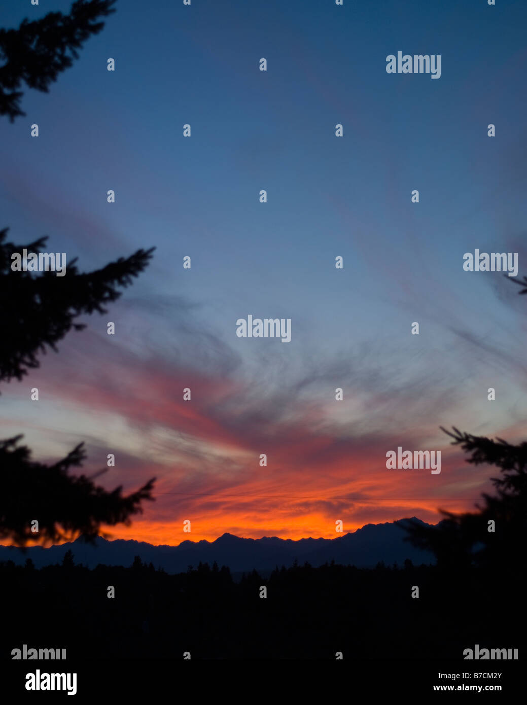 A sunset framed by evergreen trees Stock Photo - Alamy