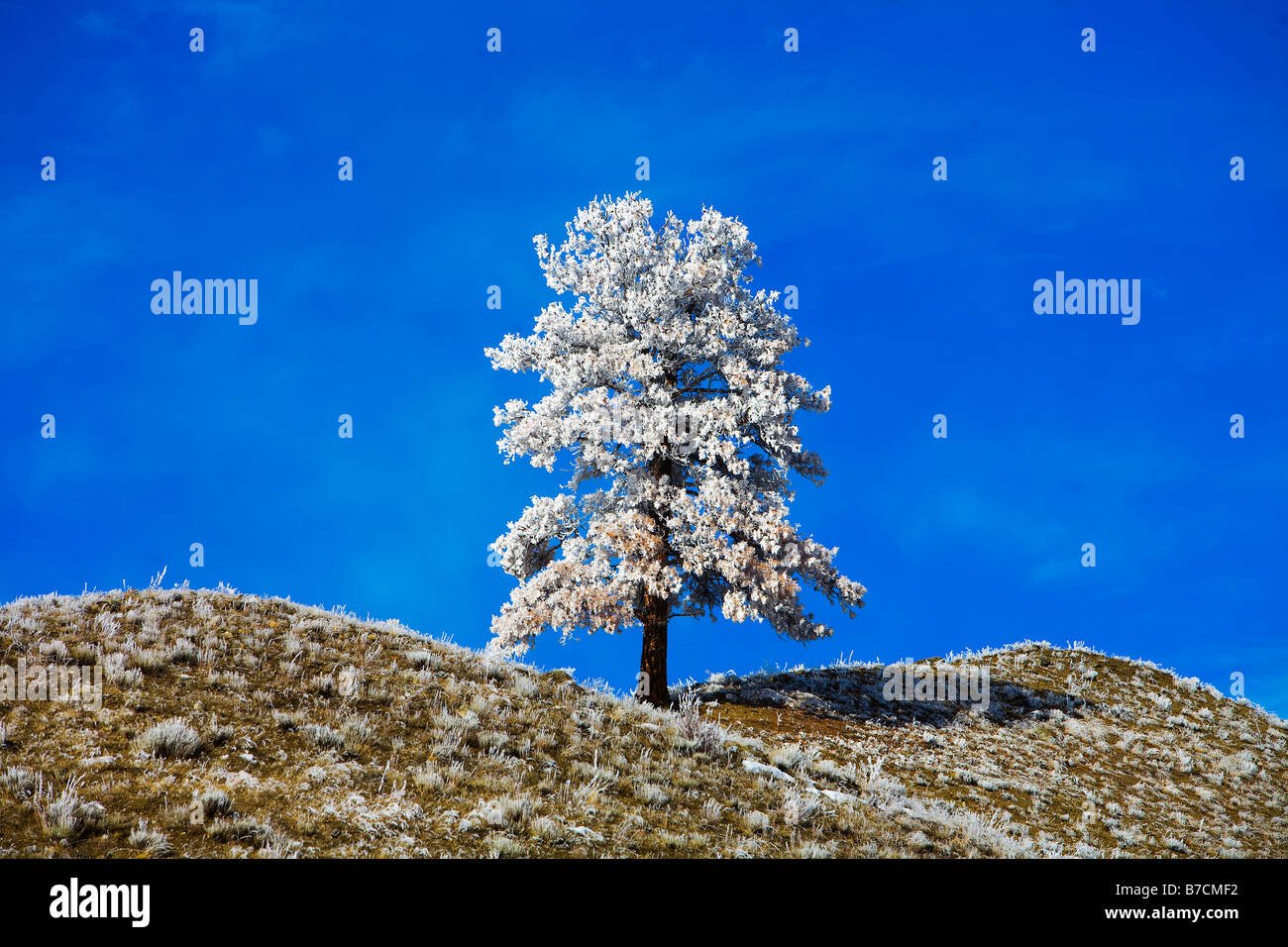 Dark Snow High Resolution Stock Photography and Images - Alamy