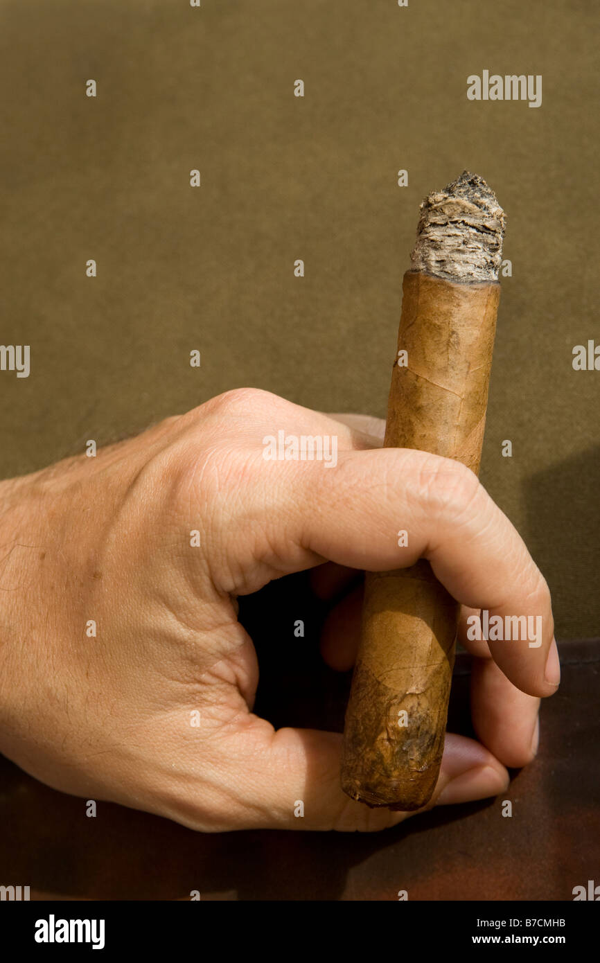 Hand holding cigar hi-res stock photography and images - Alamy