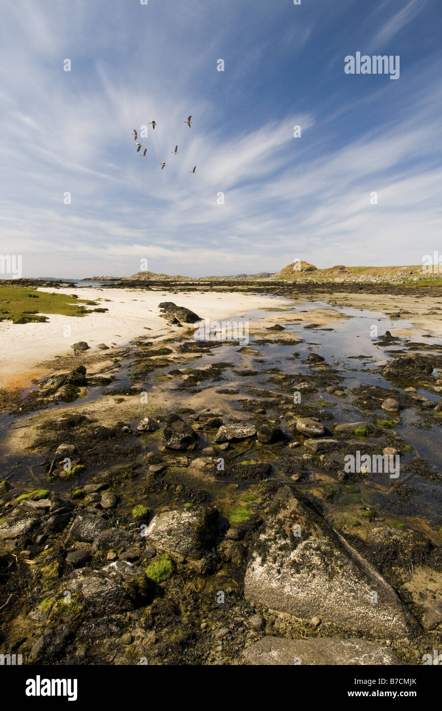 Fidden bay hi-res stock photography and images - Alamy